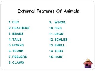 Unit 1: Animals | PPT
