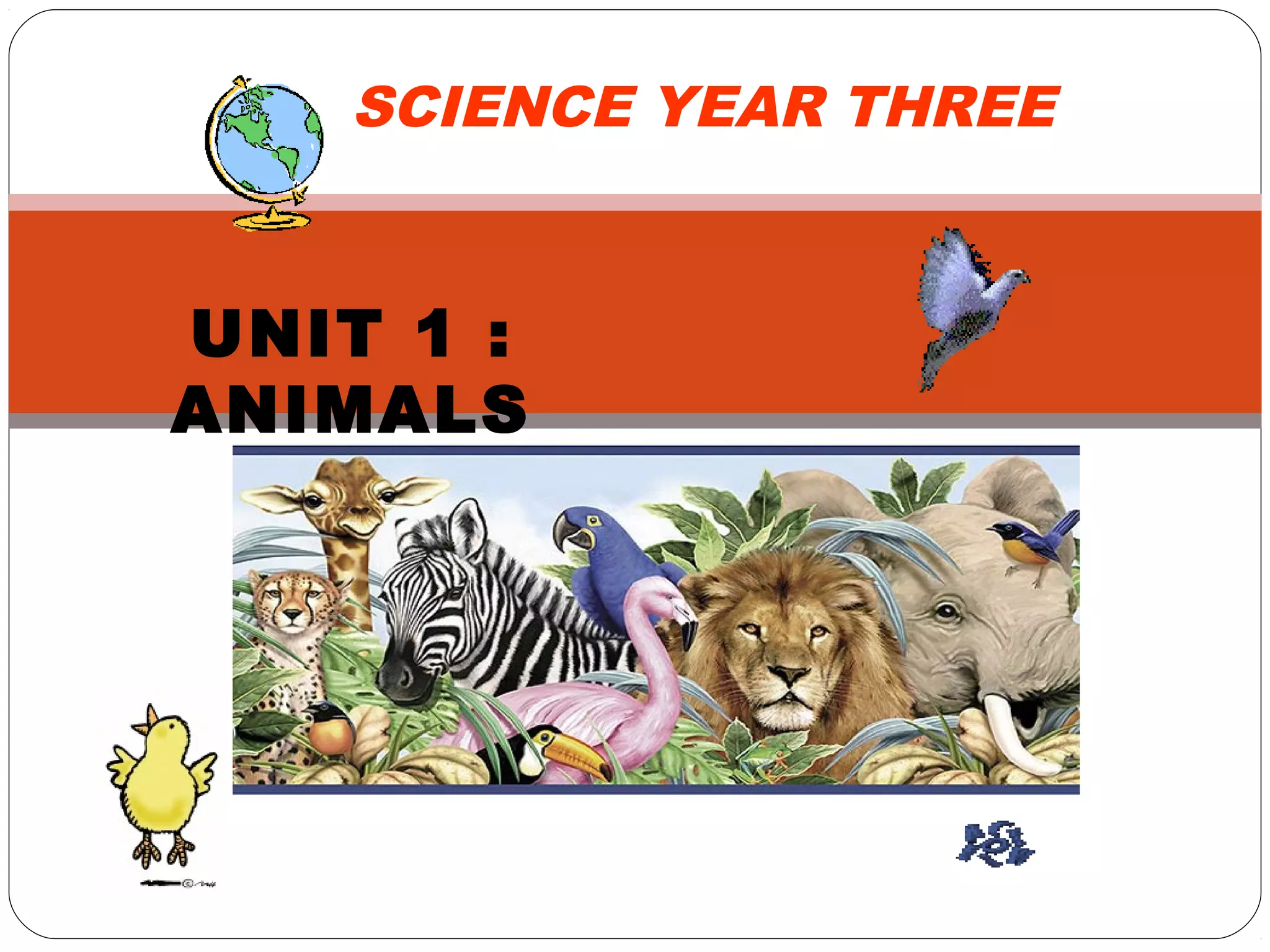 Unit 1: Animals | PPT