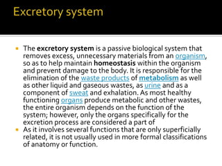 Excretory System | PPT