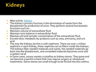 Excretory System | PPT