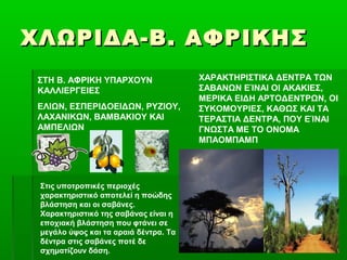 δ1α αφρικη φ.π | PPT