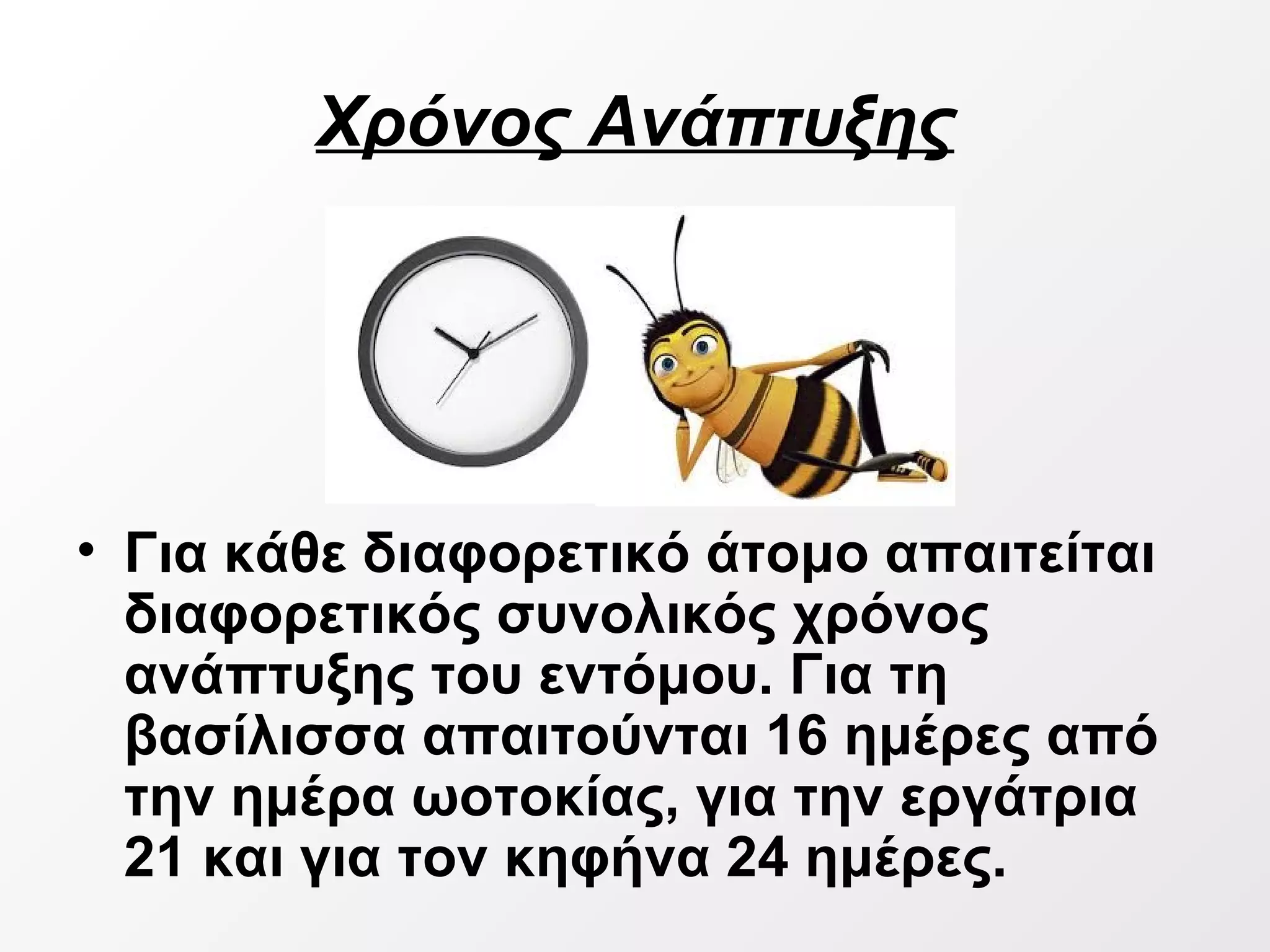 Ο θαυμαστός κόσμος της μέλισσας | PPT