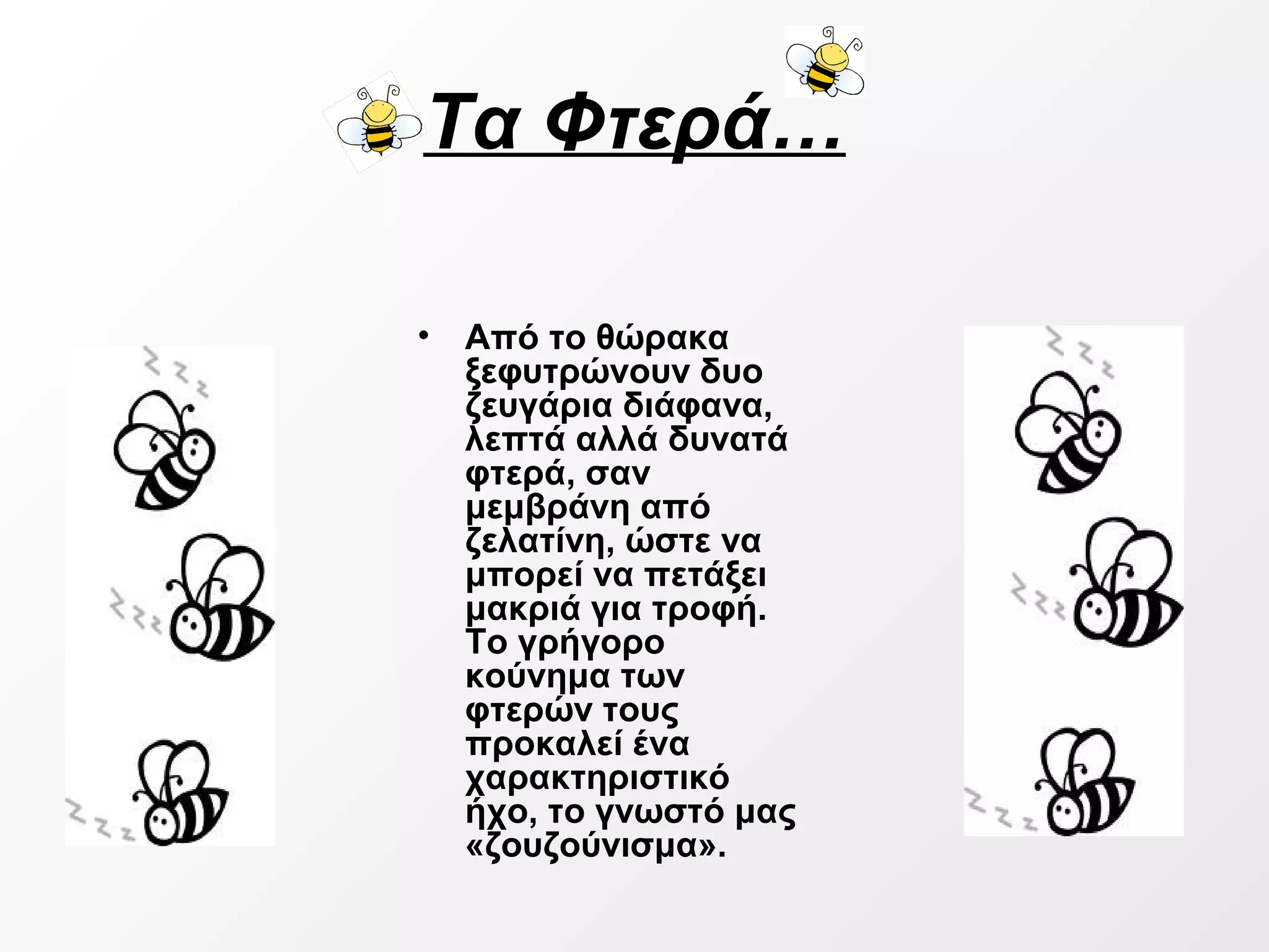 Ο θαυμαστός κόσμος της μέλισσας | PPT