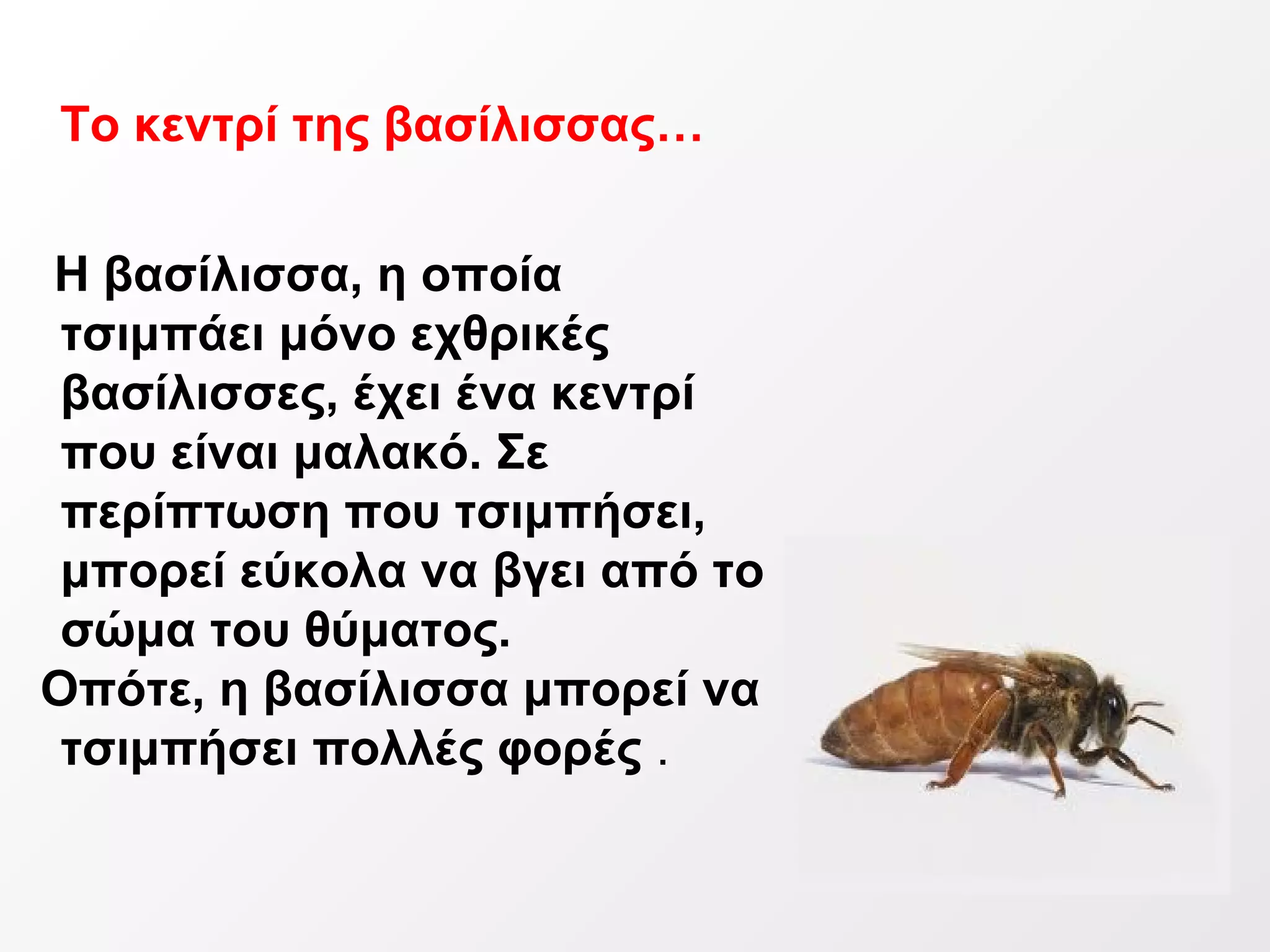 Ο θαυμαστός κόσμος της μέλισσας | PPT