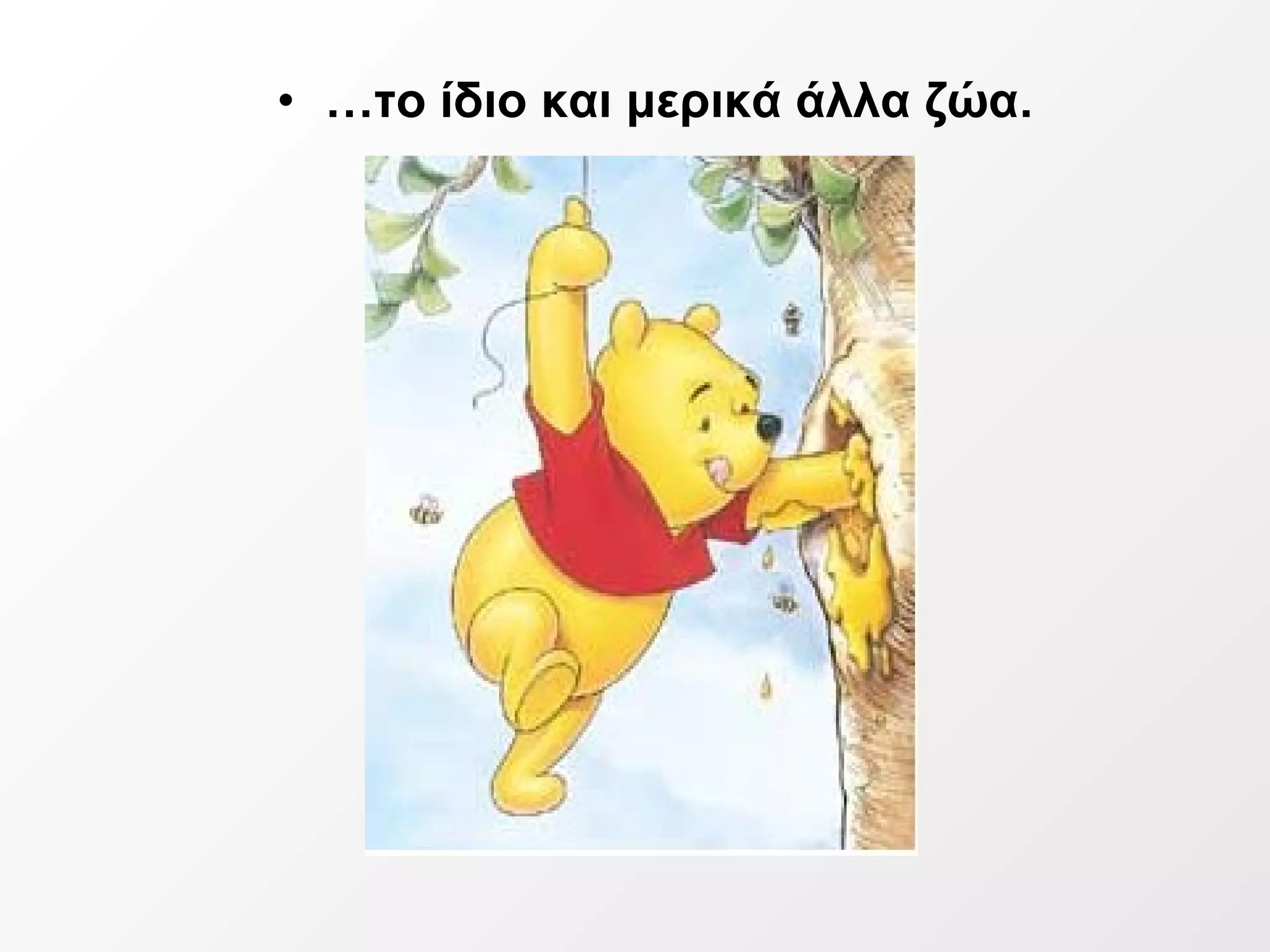 Ο θαυμαστός κόσμος της μέλισσας | PPT