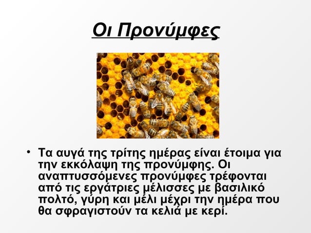 Ο θαυμαστός κόσμος της μέλισσας | PPT