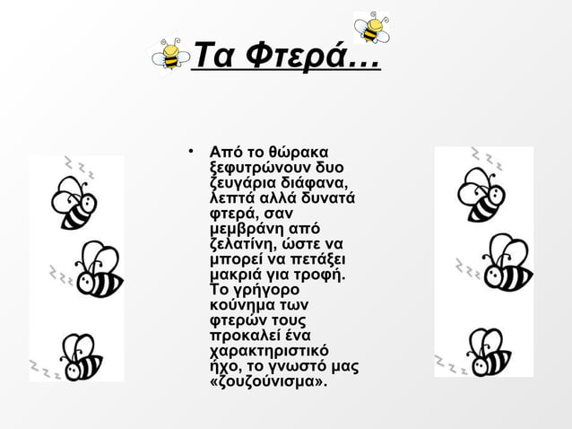 Ο θαυμαστός κόσμος της μέλισσας | PPT