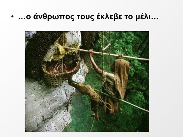 Ο θαυμαστός κόσμος της μέλισσας | PPT