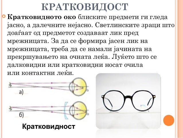 дијана јовановска човечкото око како оптички уред (1)