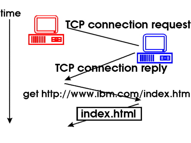 types of computer networks, protocols and standards