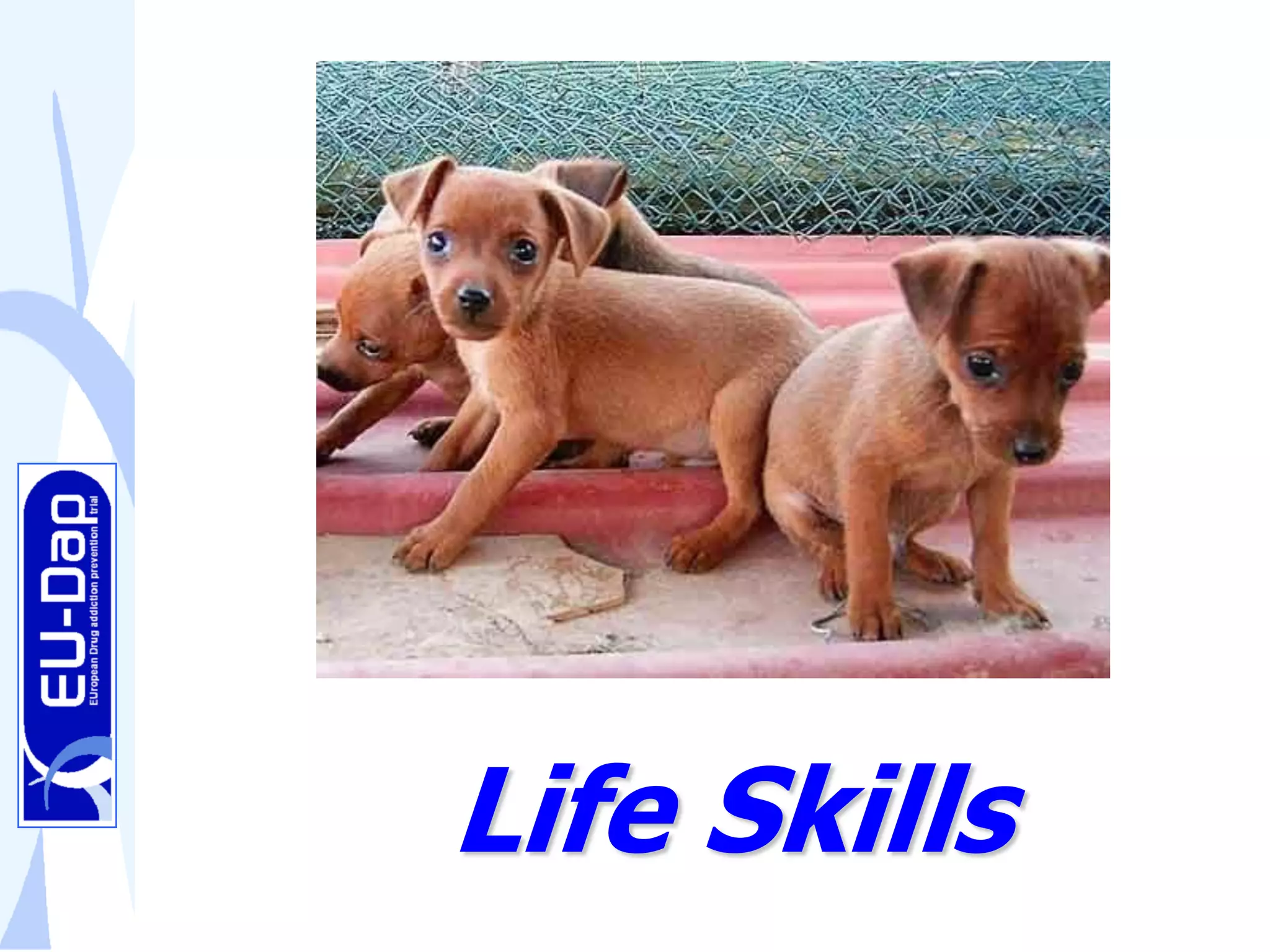 1. life-skills | PDF