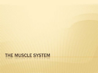 Quick Overview of the Muscle System | PPTX | Physical Therapy | Wellness