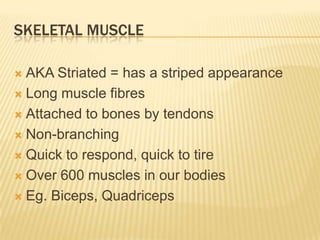 Quick Overview of the Muscle System | PPTX | Physical Therapy | Wellness