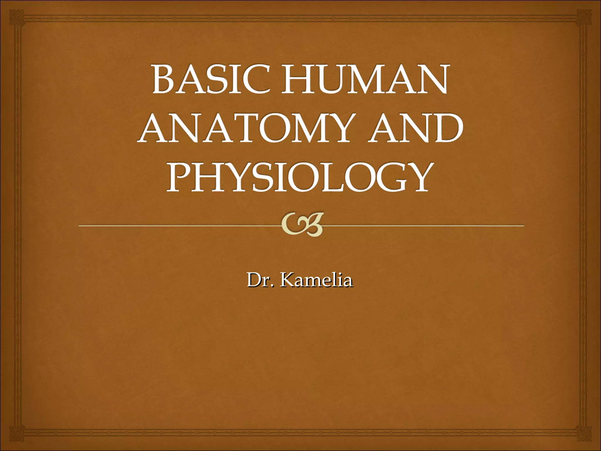 1. basic human physiology | PPT