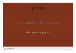 Stratega at a glance | PDF