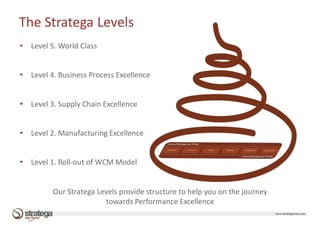 Stratega at a glance | PDF