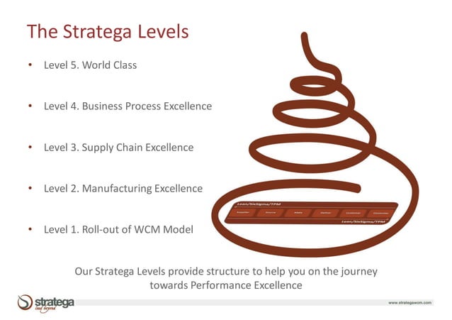Stratega at a glance | PPT