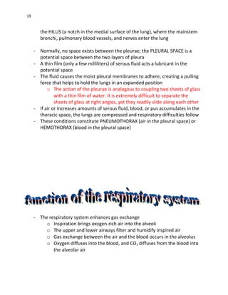 1. ana and physio respi | PDF