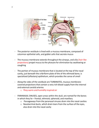 1. ana and physio respi | PDF
