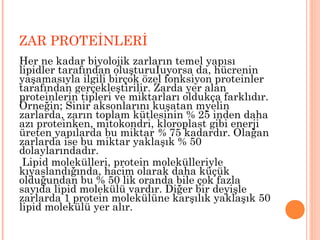 1.sınıf1h hücre yapisi ve bi̇leşenleri̇ | PPT