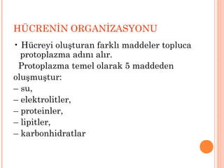 1.sınıf1h hücre yapisi ve bi̇leşenleri̇ | PPT
