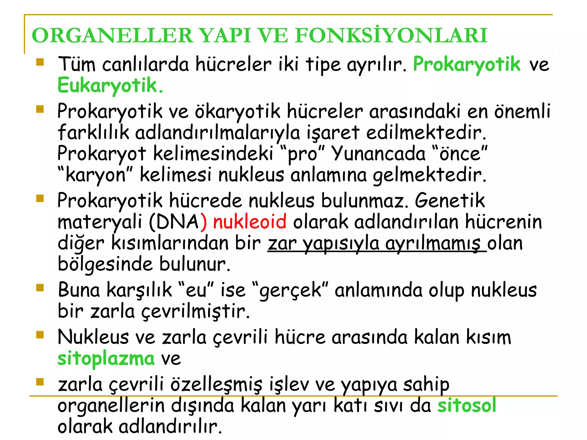 1.sınıf2h organeller yapı ve fonksiyonları | PPT