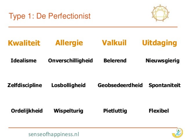 1. de perfectionist