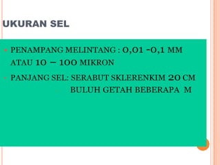 1.anatomi tumbuhan sel | PPTX