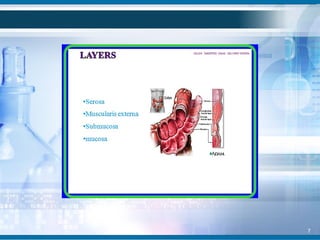 ''Pharmaceutical Approaches to colon Targeted Drug Delivery system ...