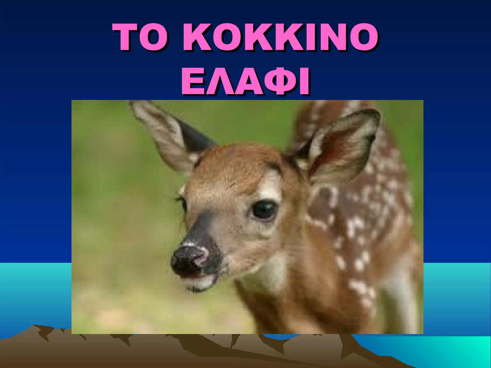Το κόκκινο ελάφι ΣΤ'1 | PPT