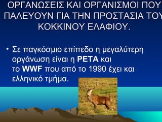 Το κόκκινο ελάφι ΣΤ'1 | PPT