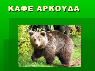 Η ΚΑΦΈ ΑΡΚΟΥΔΑ - ΣΤ1' | PPT