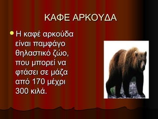 Η ΚΑΦΈ ΑΡΚΟΥΔΑ - ΣΤ1' | PPT