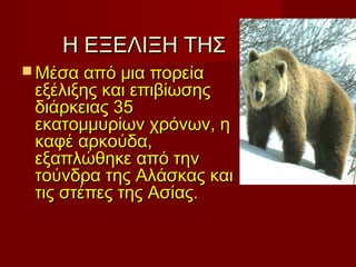 Η ΚΑΦΈ ΑΡΚΟΥΔΑ - ΣΤ1' | PPT