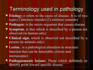 1. introduction | PPT