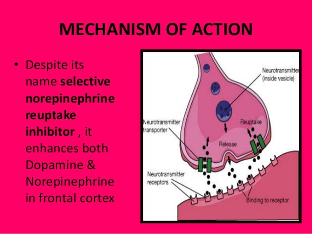 atomoxetine & methylphenidilate