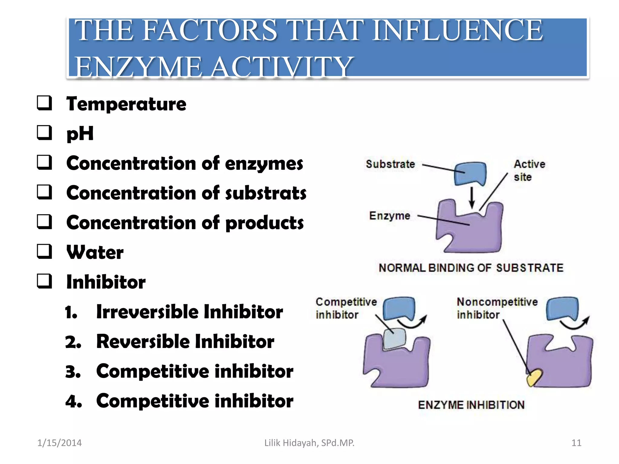 1. enzymes 1213 (1) | PPTX