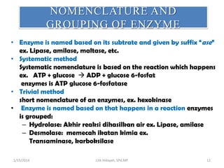 1. enzymes 1213 (1) | PPTX