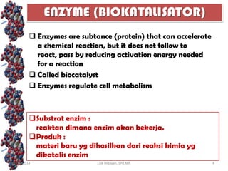 1. enzymes 1213 (1) | PPTX