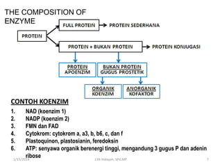 1. enzymes 1213 (1) | PPTX
