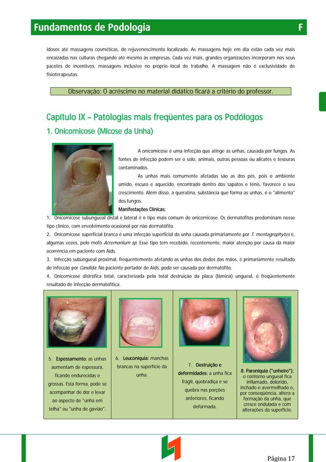 1.fundamentosde podologia | PDF