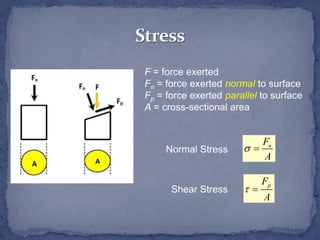 1. Rock Elasticity | PPTX