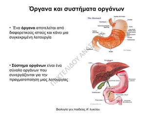 Kεφάλαιο 1ο- ΒΙΟΛΟΓΙΑ Α' ΛΥΚΕΙΟΥ | PDF