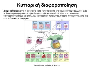 Kεφάλαιο 1ο- ΒΙΟΛΟΓΙΑ Α' ΛΥΚΕΙΟΥ | PDF
