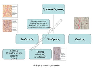 Kεφάλαιο 1ο- ΒΙΟΛΟΓΙΑ Α' ΛΥΚΕΙΟΥ | PDF