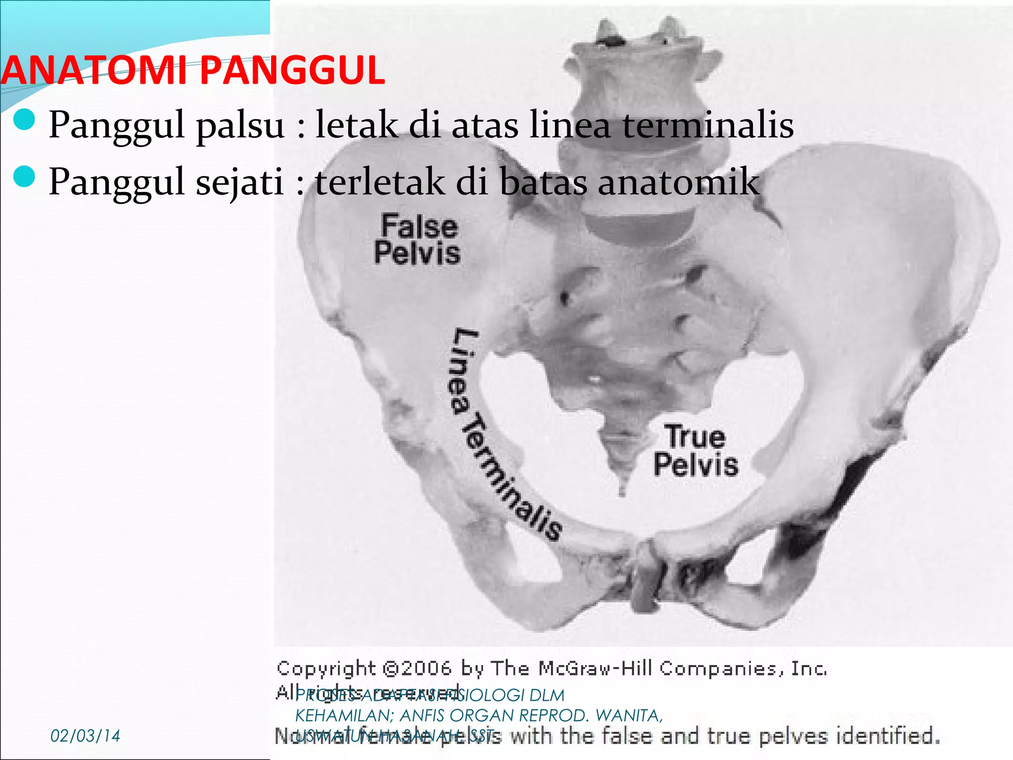 1.anatomi fisiologi organ repro. wanita; adaptasi fisiologi dlm ...