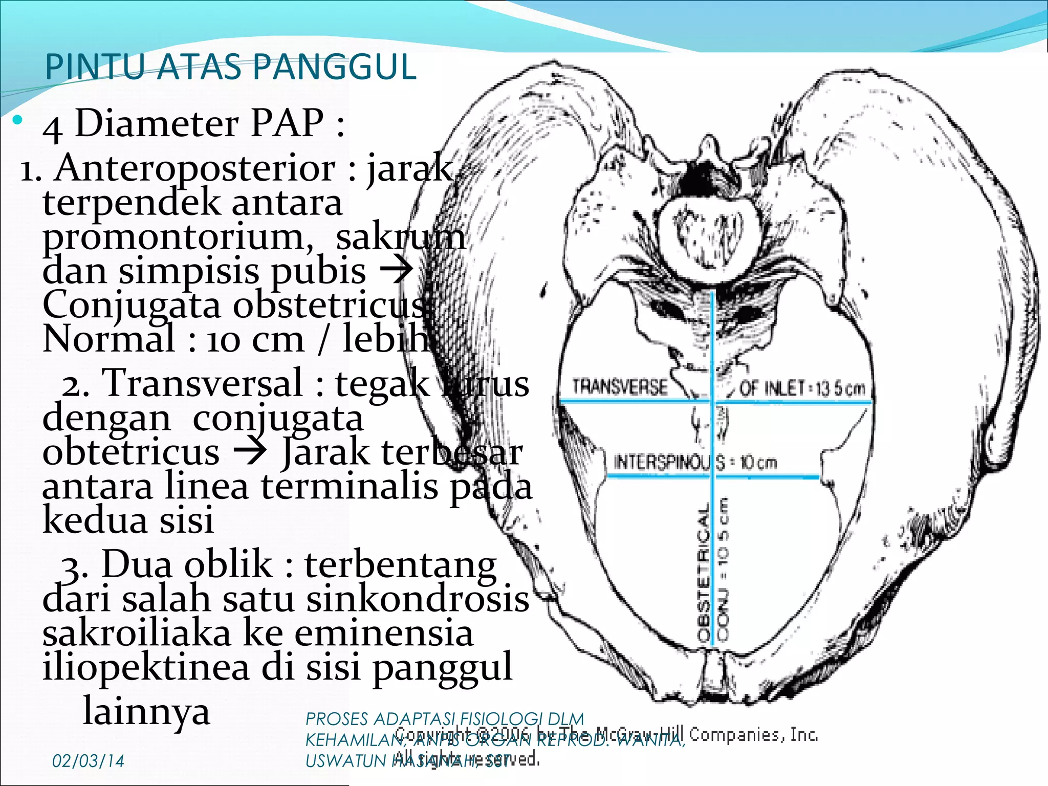 1.anatomi fisiologi organ repro. wanita; adaptasi fisiologi dlm ...