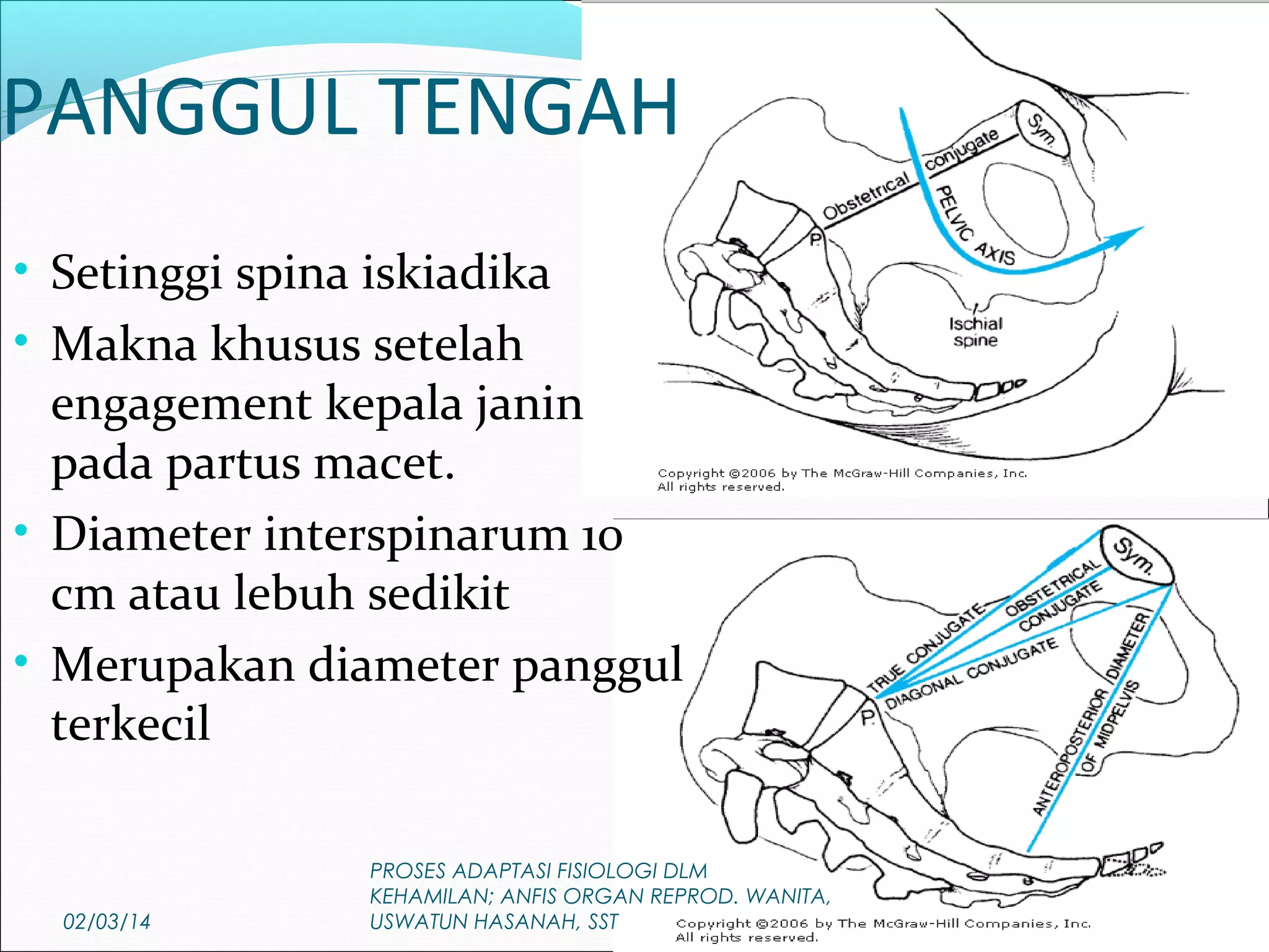 1.anatomi fisiologi organ repro. wanita; adaptasi fisiologi dlm ...