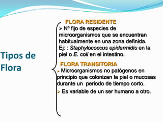 flora microbiana | PPSX