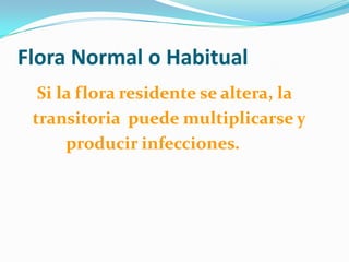 flora microbiana | PPSX